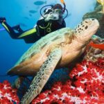 Snorkeling in Coral Island, Trincomalee - The Itinerary Breakdown