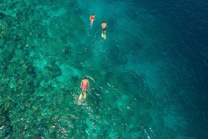 Snorkeling in Menjangan Island with Pickup and Lunch - Challenges and Considerations