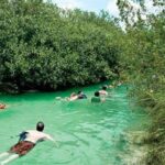 Snorkeling in Sian Ka'an - Practical Details and What Matters for Travelers