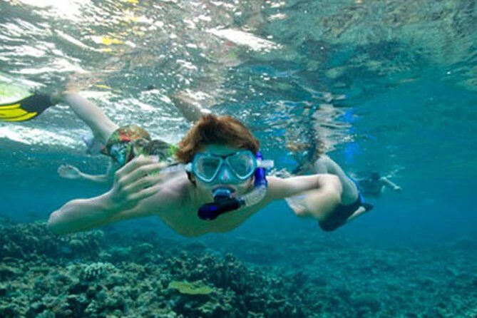 Snorkeling in Unawatuna - Authentic Insights from Past Travelers