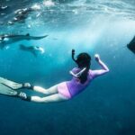 Snorkeling Manta Ray in Nusa Lembongan - Who Should Consider This Tour?
