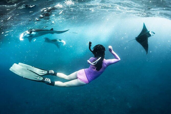 Snorkeling Manta Ray in Nusa Lembongan - Who Should Consider This Tour?