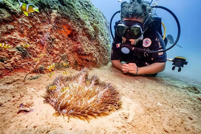 Snorkeling Or Scuba Diving In Cham Islands - Exploring the Itinerary: What You Can Expect