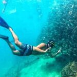 Snorkeling Tour In Gili Nanggu - The Experience in Detail
