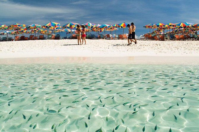 Snorkeling Tour to Coral & Maiton & Racha Island from Phuket - In-Depth Breakdown of the Experience