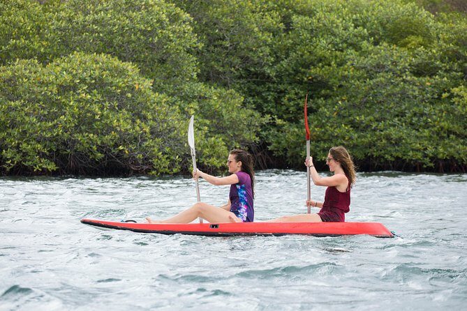 Snorkeling & Trekking at West Bali National Park - The Itinerary Breakdown: What You Can Expect