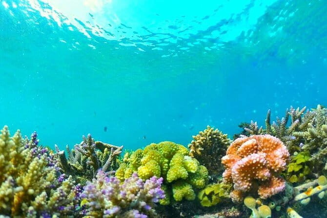 Snorkeling Trip Secret Island - Why Choose This Tour?