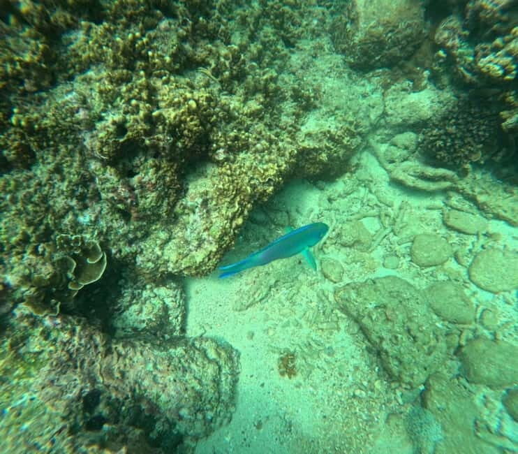 Snorkeling Trip To Angel Rock - What Travelers Say