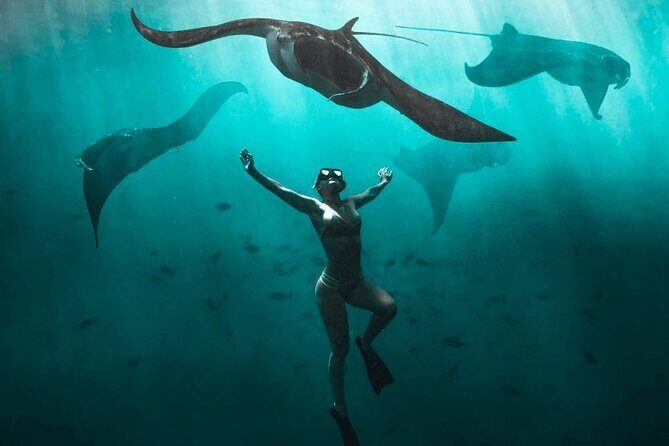 Snorkeling with Manta Rays in Nusa Penida Experience (All-Inclusive) - Considerations and Possible Drawbacks