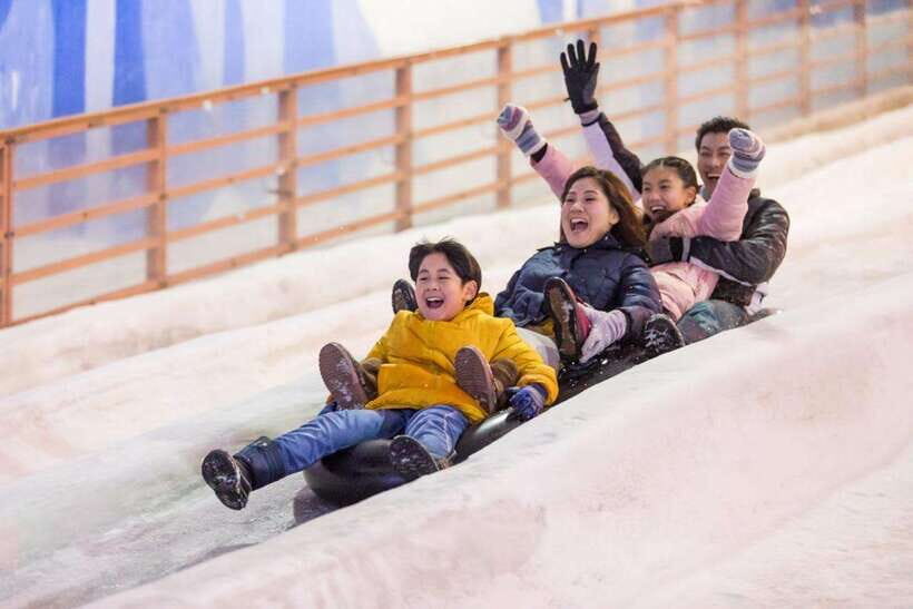 Snow City Singapore 1-Hour Play Ticket - Who Should Visit Snow City Singapore?