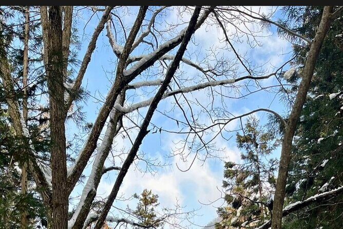 Snow Monkey Nagano Day Tour by Car English Driver in Person Guide - The Detailed Breakdown of the Itinerary