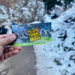 Snow Monkey Park & Zenko-ji Temple Nagano One Day Tour - Discovering the Magic of Snow Monkey Park