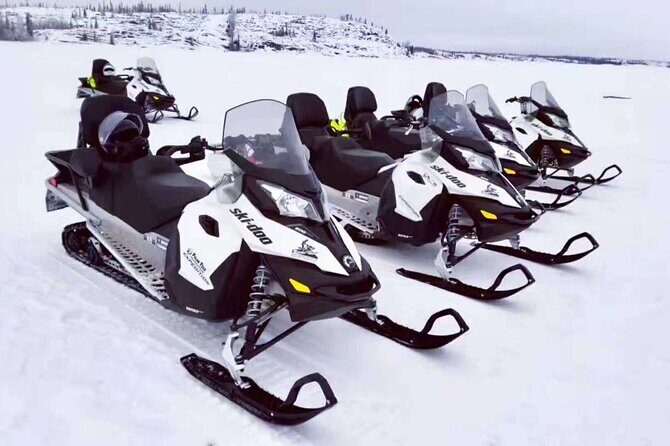 Snowmobile Tour - Who Will Enjoy This Snowmobile Tour?