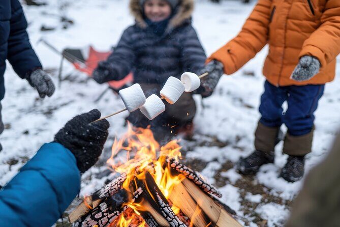 Snowshoe Adventure Frozen Falls and Firelight Tour - The Frozen Waterfall: A Showstopper