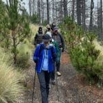 Snowy Colima Day Tour from Guadalajara - What to Expect: A Day of Mountain Adventure