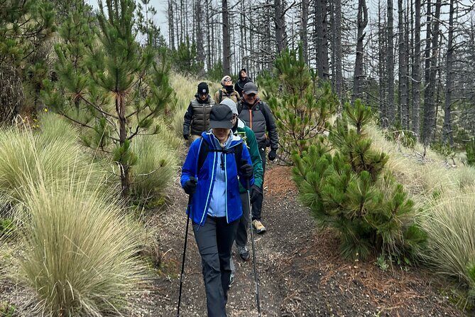 Snowy Colima Day Tour from Guadalajara - What to Expect: A Day of Mountain Adventure