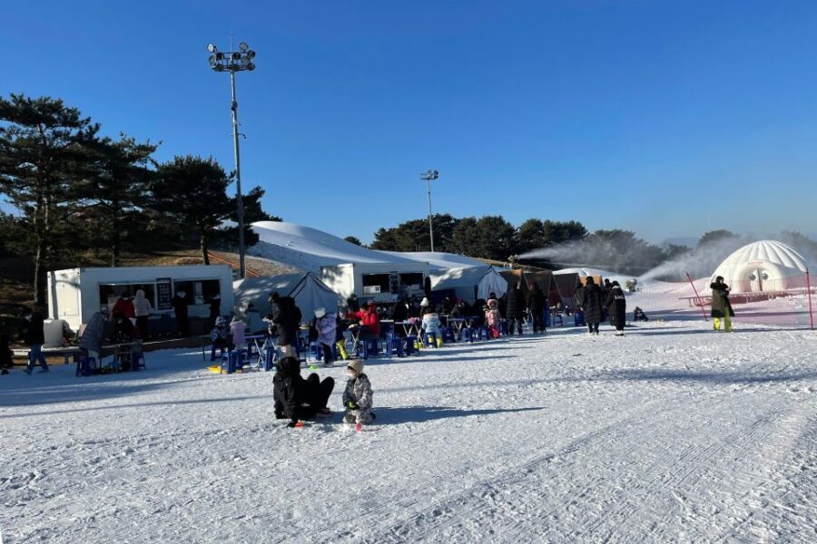 Snowy Land, Alpaca World, and Strawberry Picking - Exploring Alpaca World