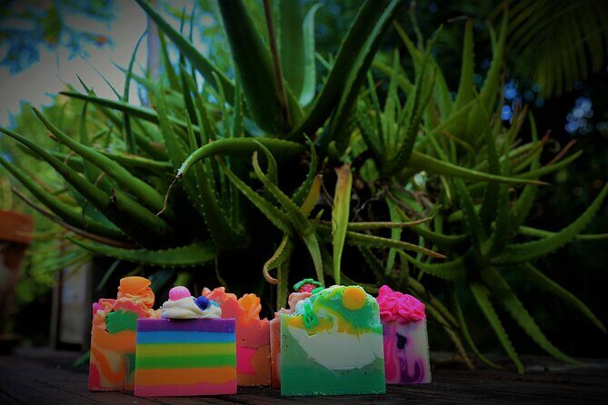 Soap Making Classes with Bubble Shack Hawaii - The Meeting Point and Practical Details
