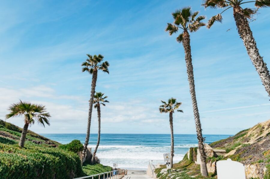 Solana Beach: Private Surf Lesson with Board and Wetsuit - The Value of the Price