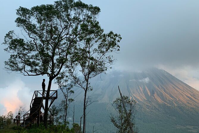 Solo Adventurer: your shared, all-inclusive tour across Flores! - Day 1: Nature and Culture in Tandem