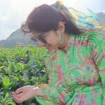 Solo Kerala Private Tour Package ( 5 Nights) - Munnar, Thekkady, Houseboat - Who Should Consider This Tour?