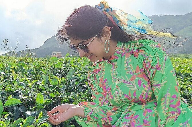 Solo Kerala Private Tour Package ( 5 Nights) - Munnar, Thekkady, Houseboat - Who Should Consider This Tour?