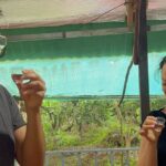 Son Islet Experiences - What Makes This Tour Stand Out?