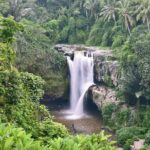 South Coast Bali Tours - Practical Tips for Your Bali Tour Day