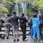 South Jeju Private Taxi Tour with Well-Experienced Driver - Key Points