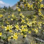 South Okanagan Desert Tour - Practical Tips for Travelers