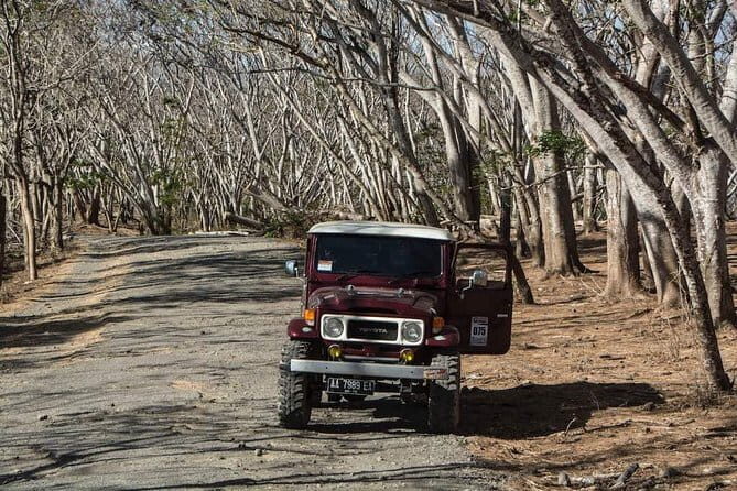 Southeast Peninsula Lombok Tour - Why This Tour Offers Great Value