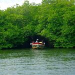 Southern Coast Highlights and River Safari from Beruwala - Who This Tour Is Best For