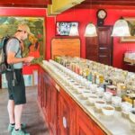 Southern Coast Highlights from Colombo - Authentic Cultural Encounters