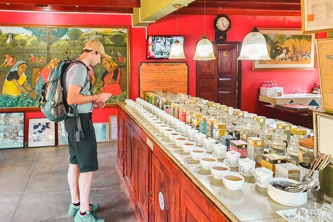 Southern Coast Highlights from Colombo - Authentic Cultural Encounters