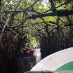 Southern Coast Highlights from Mount Lavinia - The Sum Up: Who Will Love This Tour?