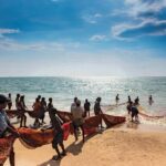 Southern Coast Highlights from Unawatuna - Detailed Breakdown of the Itinerary