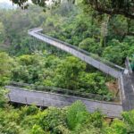 Southern Ridges Hiking Tour - Practical Details and What to Expect