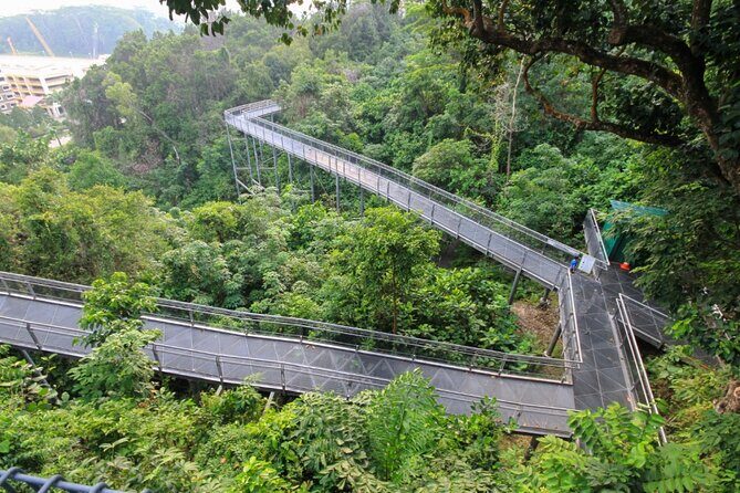 Southern Ridges Hiking Tour - Practical Details and What to Expect