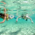 Speed Through Cancun: Explore Mangroves, Reefs & MUSA in One Tour - Real Traveler Insights & Quotes