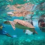 Speedboat and Snorkel Cancun Adventure with Transportation - Who Should Sign Up?