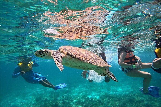 Speedboat and Snorkel Cancun Adventure with Transportation - Who Should Sign Up?
