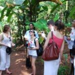 Spice Tour And Home-Cooked Goan Lunch At An Organic Plantation - Visiting the Organic Plantation: What Makes it Special?