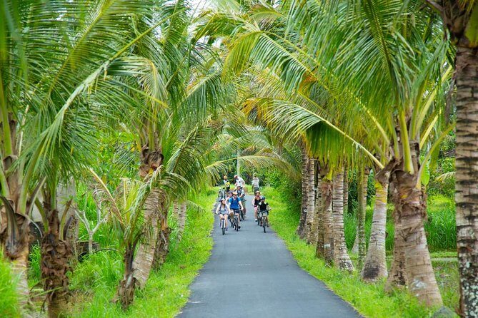 Spiritual Journey with private purification ceremony, local priest - Ubud - What You Can Expect from the Tour