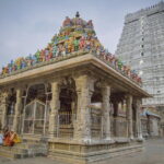 Spiritual Sojourn: Chennai to Tiruvannamalai Temple & Ashram Tour - Is this Tour Worth the Price?