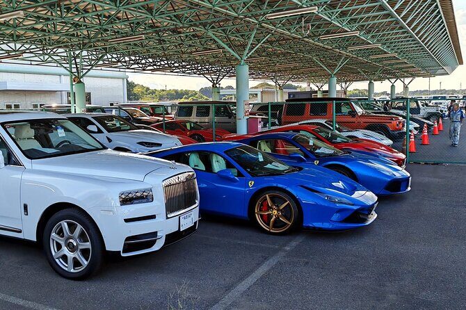 Sports Car Cultural Private Tour in Tokyo - Who Will Love This Tour?