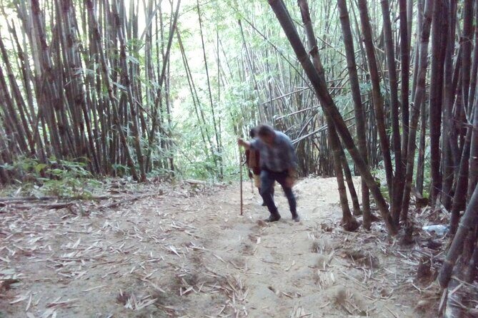 Sreemangal Day Tour to the Most Highlighted Places - Deep Dive into the Itinerary