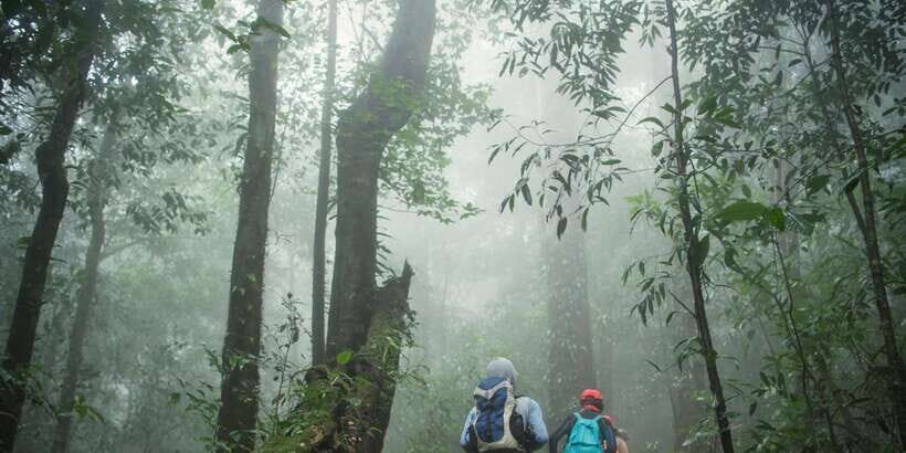 Sri Lanka: 2-Day wildlife tour; rainforest and National park - Why the Price Makes Sense for the Experience