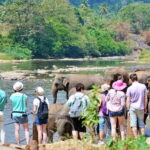 Sri Lanka: 3-Day Hill Country Experience with train trip - Who Is This Tour Best For?