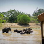 Sri Lanka: 3-Day Nature Tour with Rainforest, Safari - Practical Considerations and Value