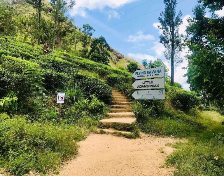 Sri Lanka 3-day Private Tour: Kandy, Nuwara Eliya, Ella - Analyzing the Itinerary: What Makes it Special